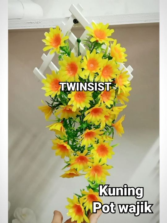 Bunga Rambat Seruni Gantung Plastik Artificial Palsu / Bunga Rambat ...