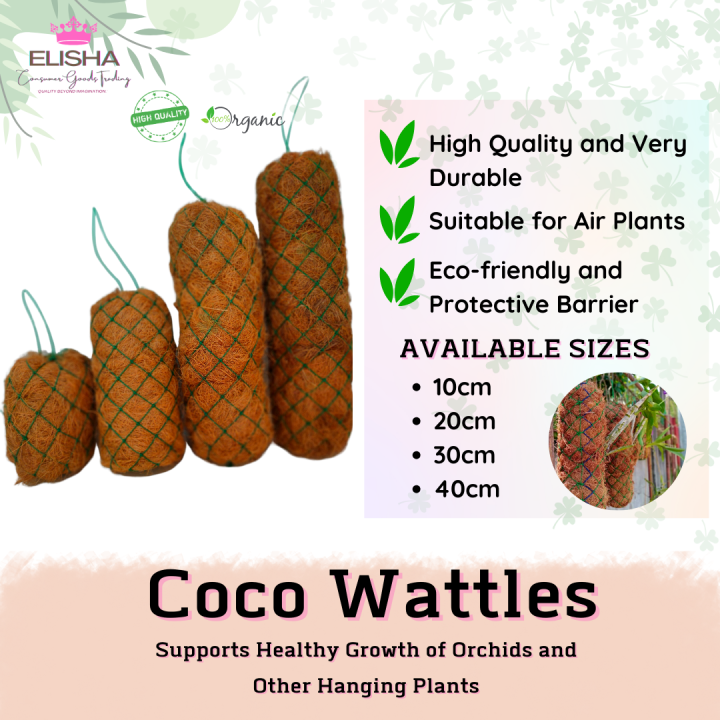 ELISHA l Coco Fiber Wattles (10cm - 40cm) Supports Healthy Growth of ...