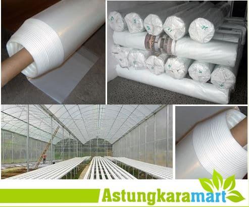 Plastik UV Green House Lebar 4 Meter Panjang 1 meter JUARA | Lazada Indonesia