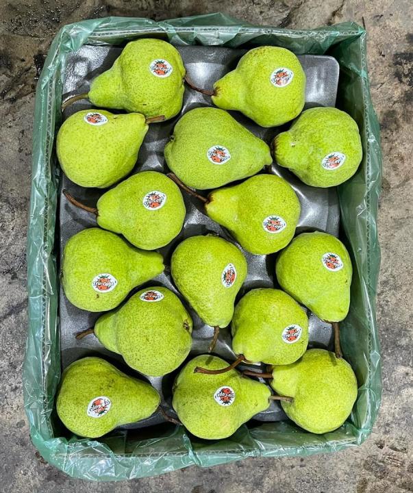 Pear Segar 5 biji (only in Penang) | Lazada