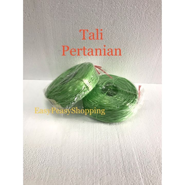 Tali Pertanian Hijau 1kg / Tali Rafia/Tali Ikat sayur/Nylon String | Lazada