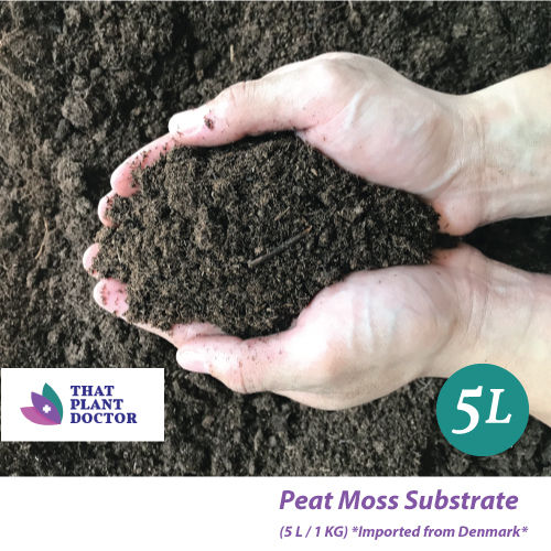 Peat Moss Substrate (Fine) (2L) | Lazada