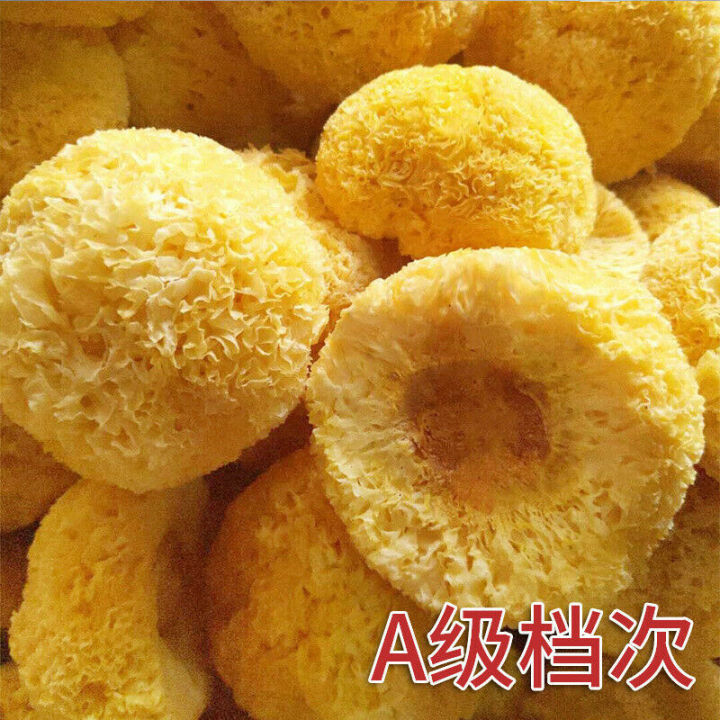 Great Tremella Fuciformis Snow Fungus Ball Edible Mushrooms Good for ...