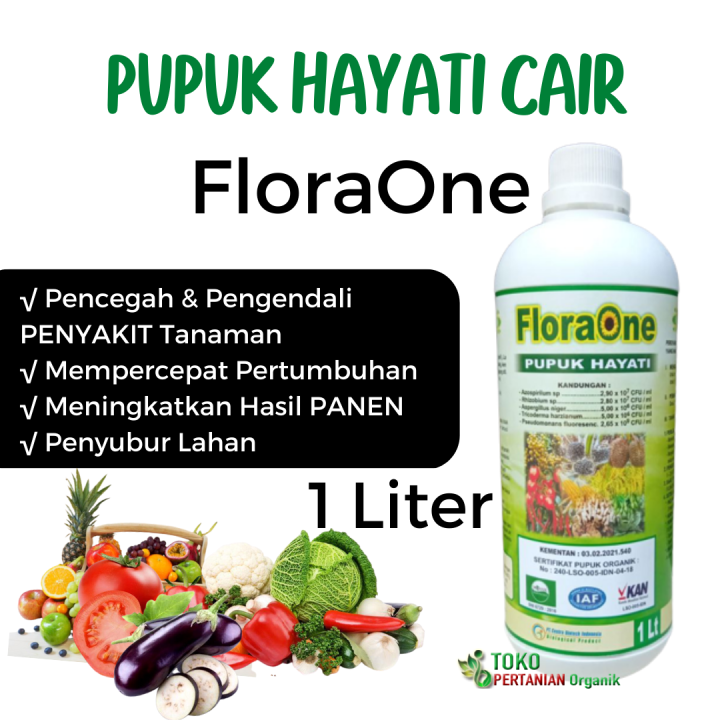 Pupuk PGPR Trichoderma Cair Untuk Bawang Merah Anti Moler, Bakteri ...