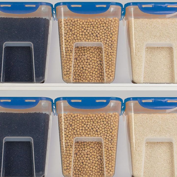 [SG Stock] LocknLock PP BPA Free Classic Rice Case Rice Storage ...