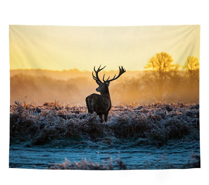 FEIYANA-ผ้าแขวนผนัง ผ้าแต่งห้อง ผ้าแต่งผนังสไตล์วินเทจ มี 2 ไซส์ รุ่น TN-T120 พร้อมส่งจากไทย ...