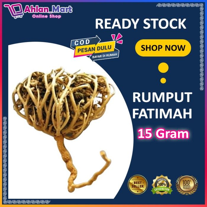 Rumput Fatimah Kaff Maryam Fatimah Dari Arab Saudi Ukuran 15 Gram ...