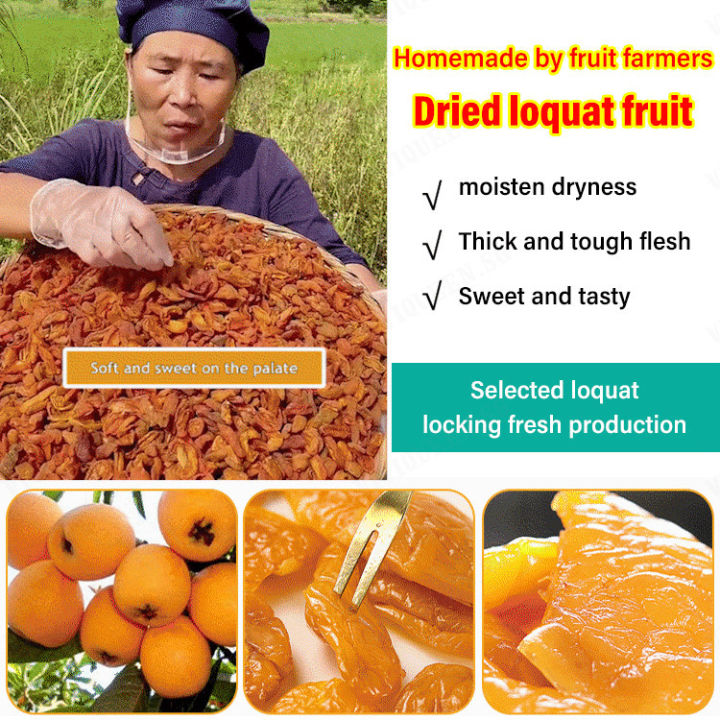 viviqueen Original Loquat Dried Fruit with Natural Flavor Bagged or ...