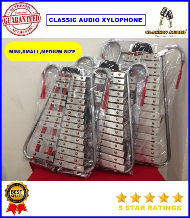 Davis Lyre Xylophone With Bag, Lyre beater and Strap (Medium, Small ...