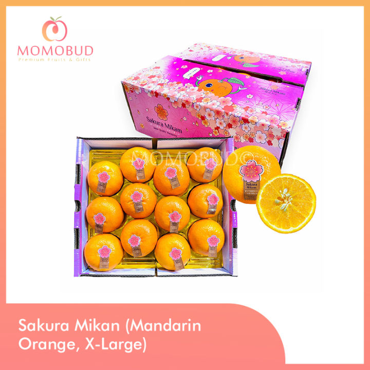Sakura Mikan (Mandarin Orange, X-Large) - 1 Box ( 24 Pieces) | Lazada ...