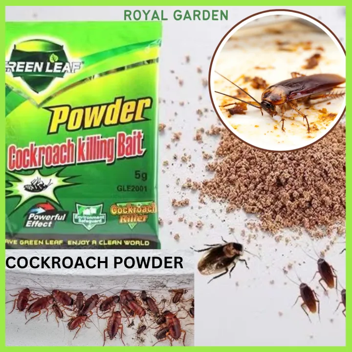 ROYAL GARDEN, 100% Cockroach killer powder, Professional Cockroach Bait ...