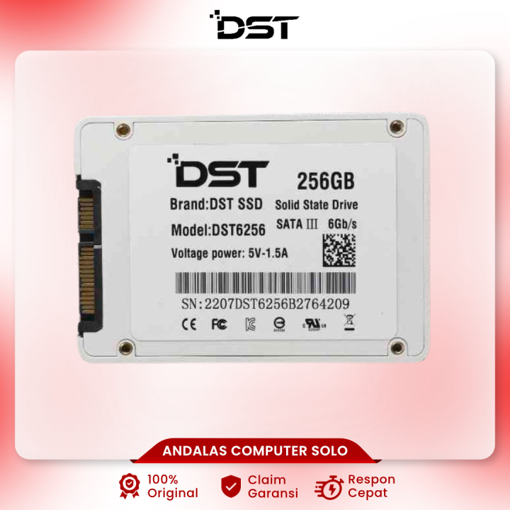 SSD Sata III DST 256 Gb - Baru dan Bergaransi | Lazada Indonesia