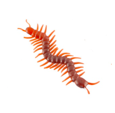 Ready Stock/ Fake Centipede 3 PCs Fool's Day Toys Centipede Realistic ...