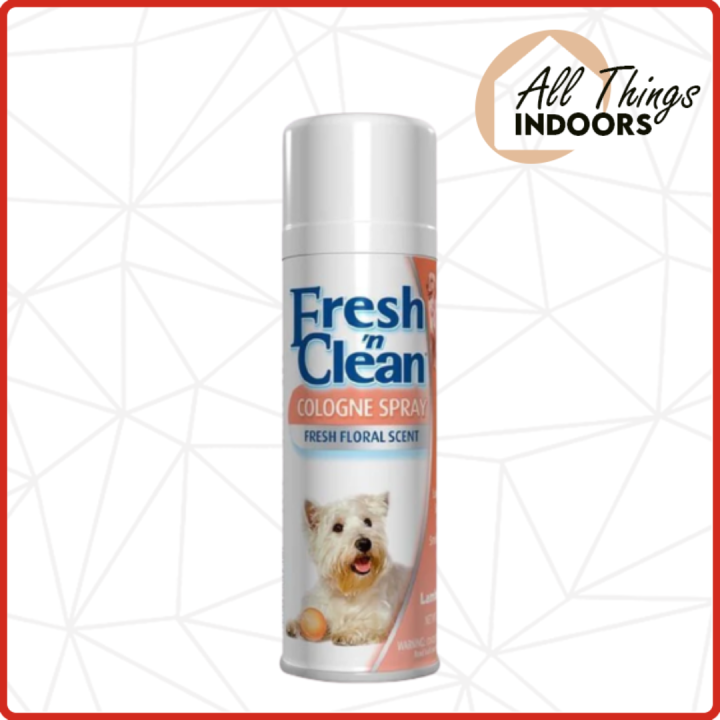 Fresh 'N Clean Cologne 12 oz | Lazada PH