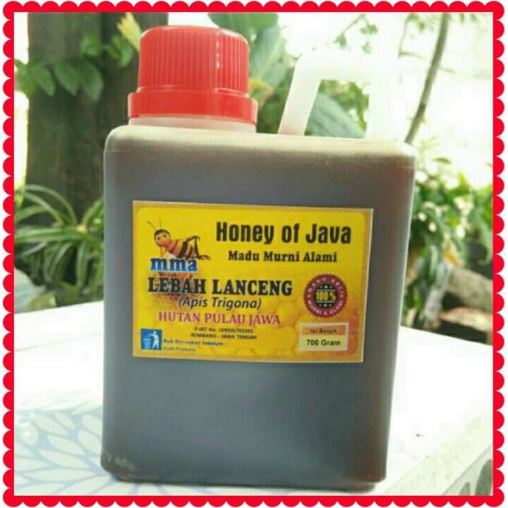 Madu Murni - Madu Lanceng, Klanceng, Kelulut Manis Premium (Apis ...