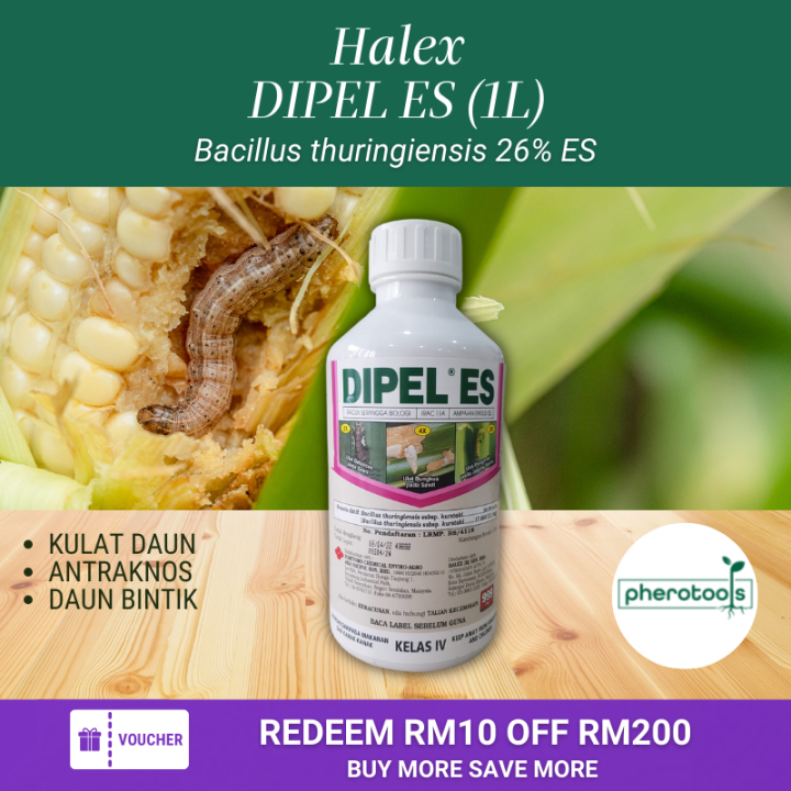 Pherotools DIPEL ES (1L) Racun Serangga Biologi Mengandungi Bakteria ...