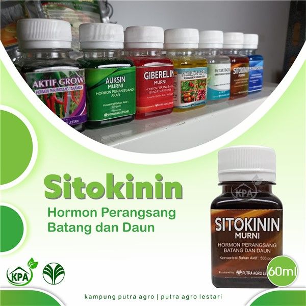 HORMON PEMBENTUK BATANG DAN DAUN UNTUK SEMUA JENIS TANAMAN SAYURAN ...