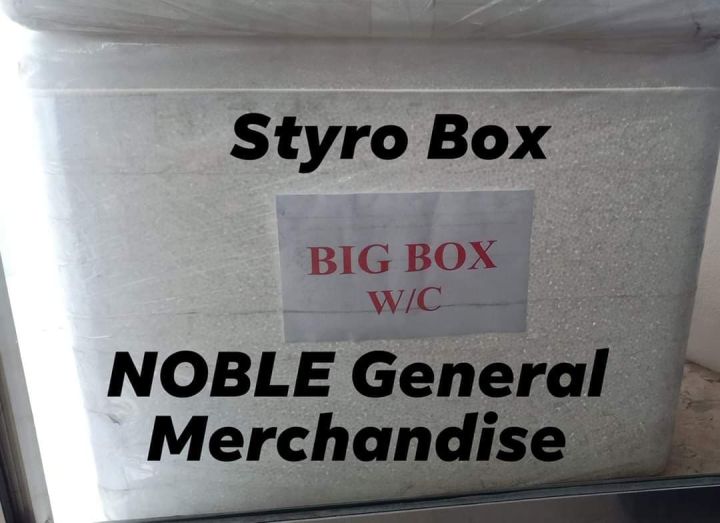 STYRO BIG BOX WITH COVER / STYROFOAM / STORAGE / COOLER | Lazada PH