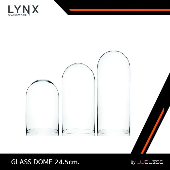 JJGLASS - (LYNX) GLASS DOME 24.5 - โดมฝาครอบแก้ว แฮนด์เมด เนื้อใส แบบ ...