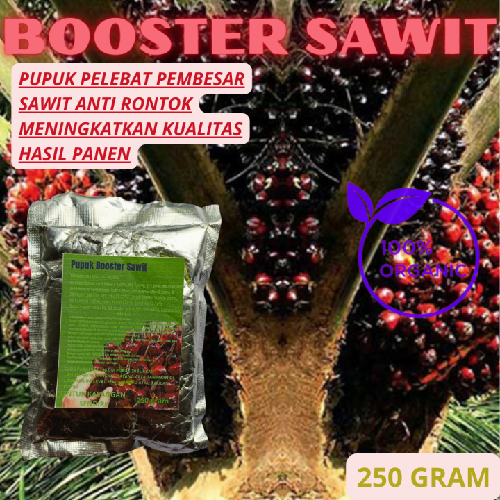 Pupuk Booster Pelebat Buah Sawit Organik Pupuk Sawit Pemacu Dan