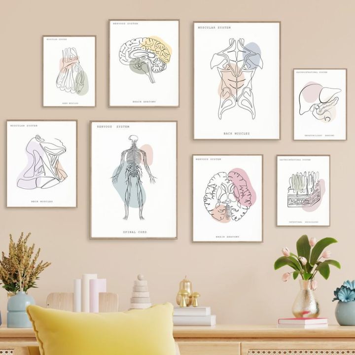 ☂ Minimalist Colorful Anatomy Line Medical Poster And Print Mind Tooth ...