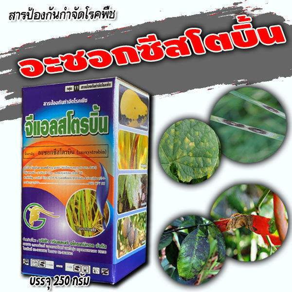 อะซอกซีสโตรบิน ⚡️ (Azoxystrobin 25% )( 250cc ) สารป้องกันกำจัดโรคพืช ...