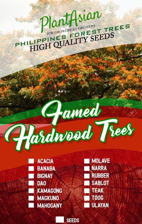MOLAVE TREE SEEDS 20 PCS | Lazada PH
