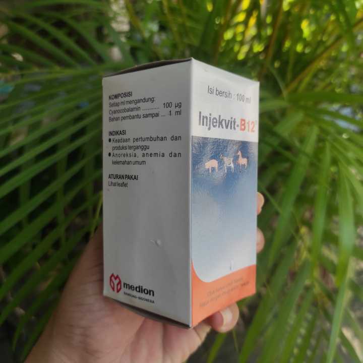 INJEKVIT B12 100ml Injeksi Untuk Perbaiki Kondisi Tubuh Anemia | Lazada ...