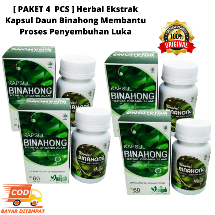 [ PAKET 4 PCS ] Herbal Ekstrak Kapsul Daun Binahong Inayah 60 Kapsul | Lazada Indonesia