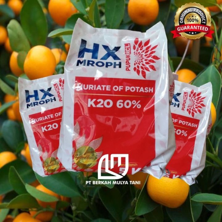 Pupuk KCL Kalium Tinggi K2O 60% HX MROPH MURIATE OF POTASH 5 Kg ...