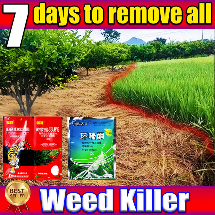 Red magic weed killer Grass killer powder pamatay damo Herbicide ...