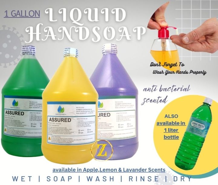 LIQUID HAND SOAP ANTI BACTERIAL HAND WASH SOAP 1 LITER 1 GALLON | Lazada PH