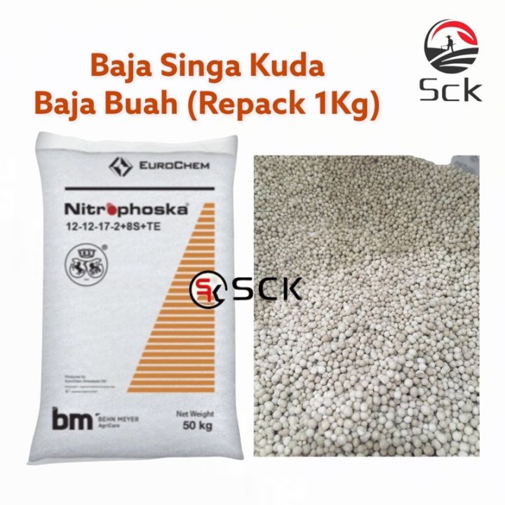 Baja Singa Kuda (Baja Buah)1kg | Lazada