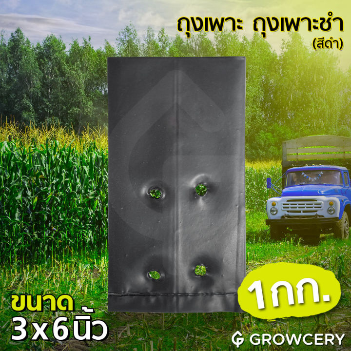[G] ถุงเพาะ ถุงปลูก ถุงเพาะสีดำ ถุงเพาะชำสีดำ ขนาด 3 x 6 นิ้ว จำนวน 1กก. จำหน่ายโดย GROWCERY ...