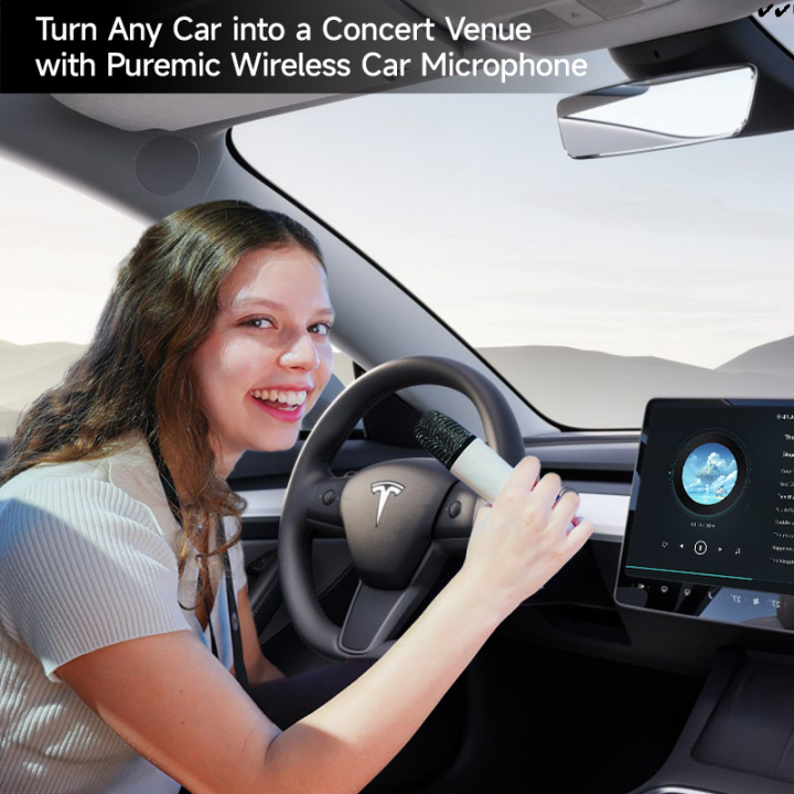 D ۰Q1-Tesla Car Karaoke Microphone for Tesla Model Y/3/X/Cybertruck ...