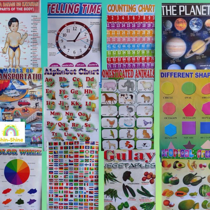 10pcs. or 20pcs. Educational Early Learning Wall chart ( SOFT PAPER ...