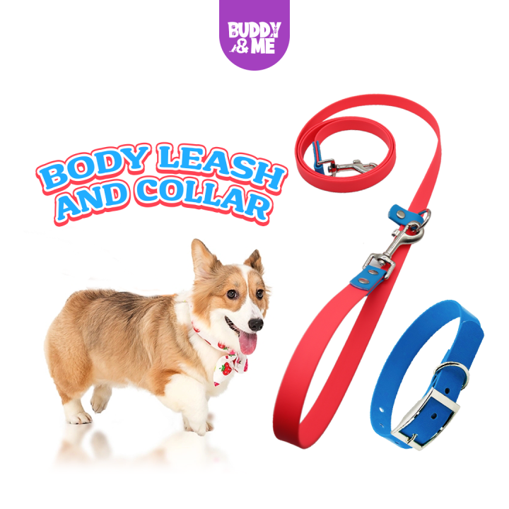 Buddy and Me Leash and Collar | Lazada PH