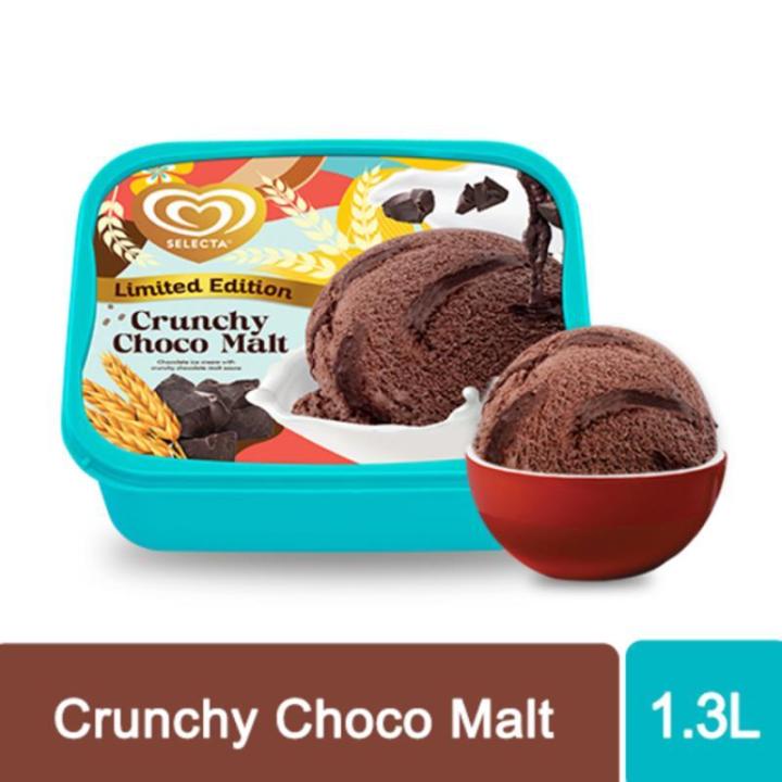 Selecta Limited Edition Crunchy Choco Malt Ice Cream 1.3L | Lazada PH