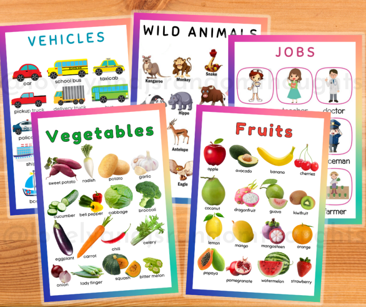 Laminated Charts Vegetables Educational Charts A4 size | Lazada PH