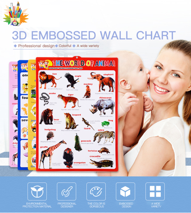 EDUCATIONAL WALL PLASTIC EMBOSSED CHART for KIDS | Lazada PH