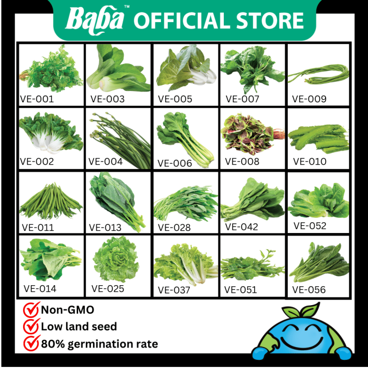 READY STOCK | Baba vegetable seeds | biji benih sayur | NON-GMO | sawi ...