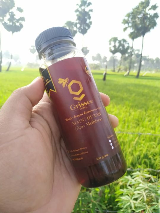 madu hutan madu murni madu asli hutan sumatera lebah apis Mellifera ...