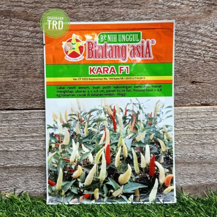 Paket 10g KARA F1 Biji Benih Cili Padi Setan Putih Merah Sangat Pedas ...