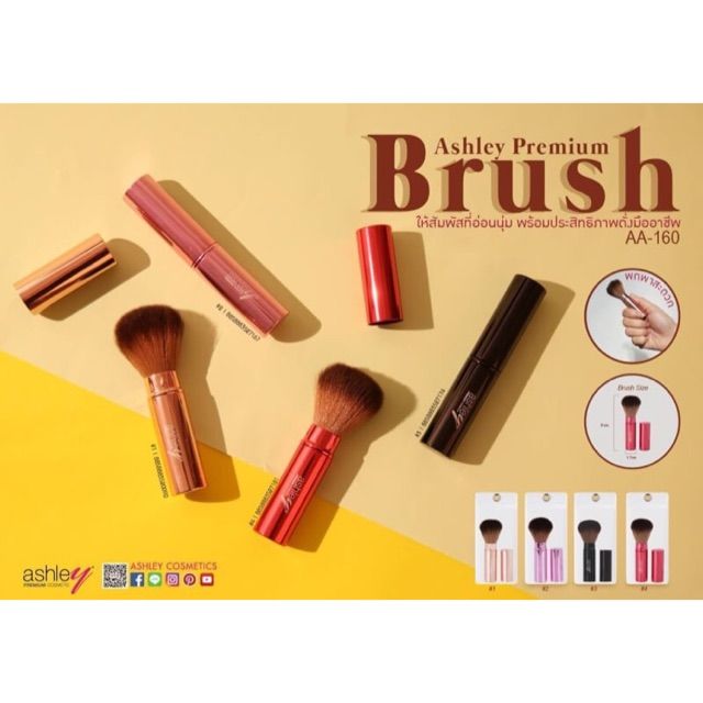 AA-160 Ashley แอชลี่ย์ แปรงหมุน แปรงขนฟูนุ่ม พกพาสะดวก มีให้เลือก4สี ...