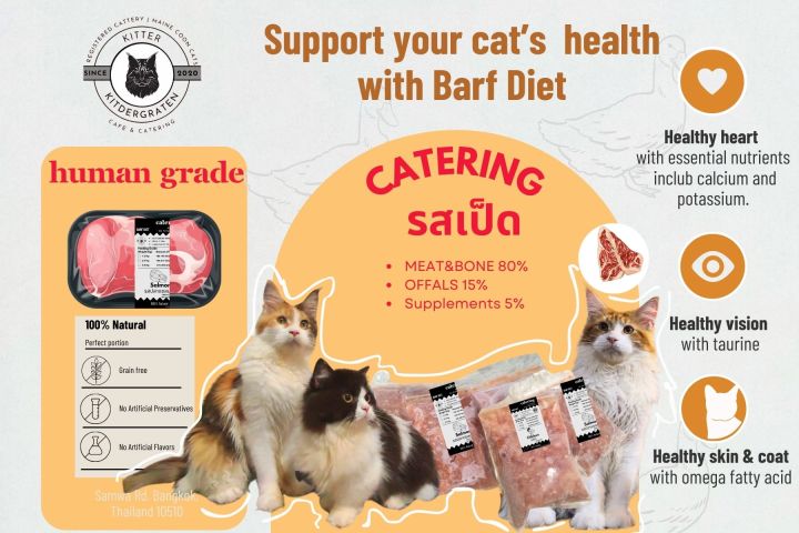 Cat BARF - Duck 250 g. บาร์ฟแมวสแช่แข็ง สูตรเป็ด 250 g. | Lazada.co.th