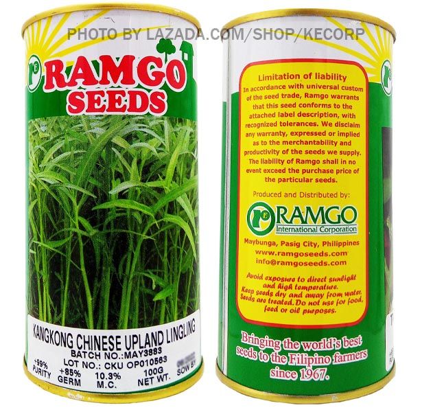 Ramgo Seeds Tin Can Kangkong Chinese 100g | Lazada PH