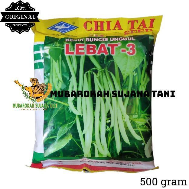 Benih Buncis LEBAT 3 isi 500 Gram | Lazada Indonesia