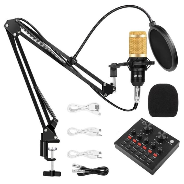 Professional Adjustable Microphone Set with V8 Soundcard | Lazada PH