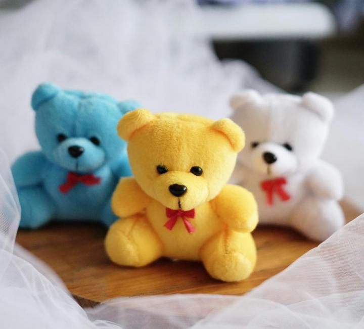 Boneka Teddy Bear mini 12 cm/boneka polos/boneka beruang kecil | Lazada ...