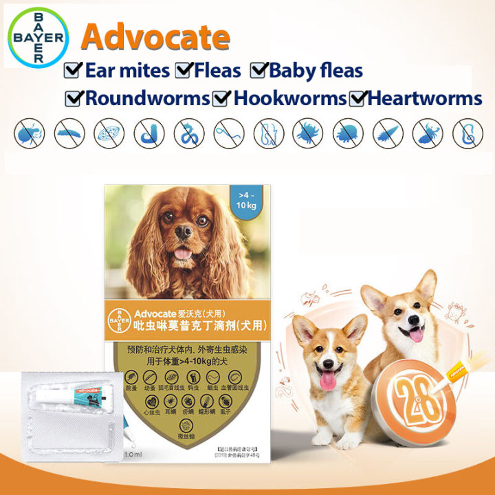 Bayer Advocate For Dog Under 40 kg Pet Care Supplies | Lazada